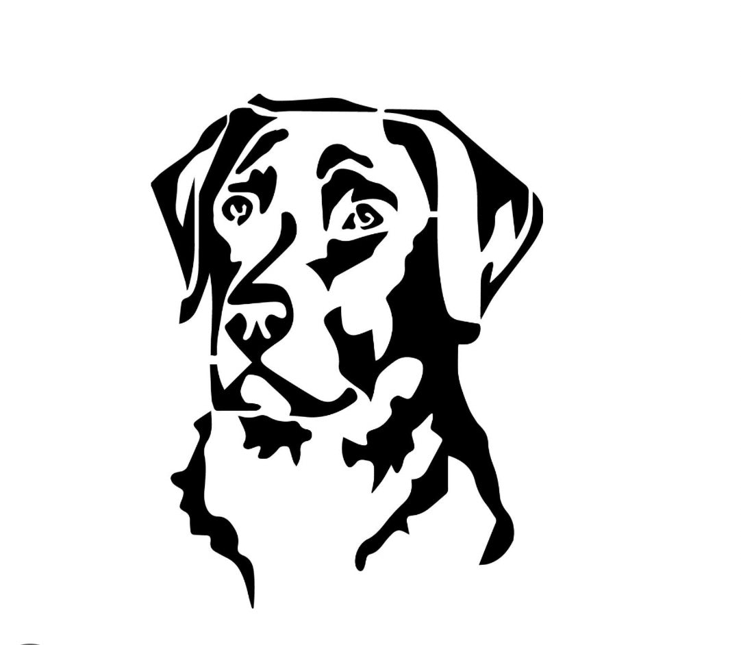 Dog Food – Krum Feed Store