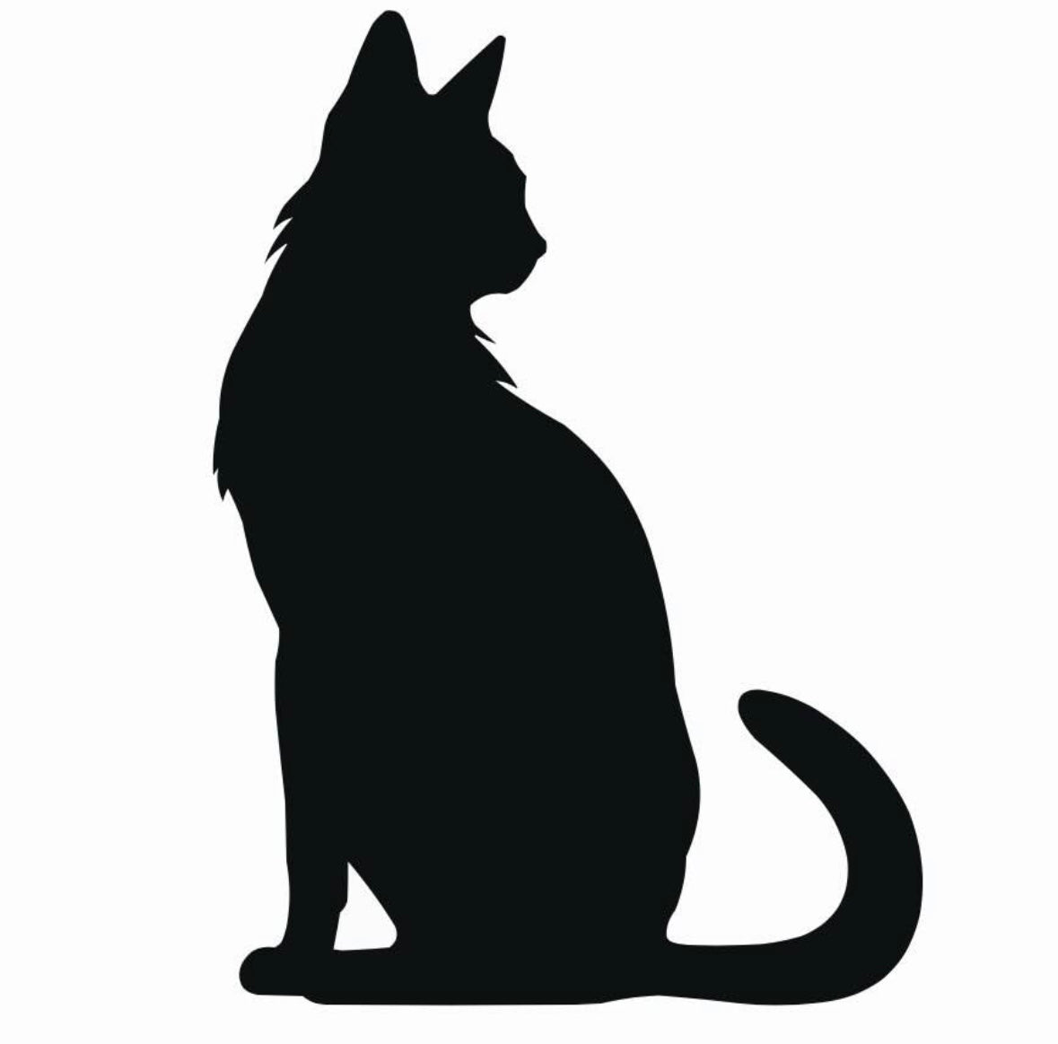 Cat Food – Krum Feed Store