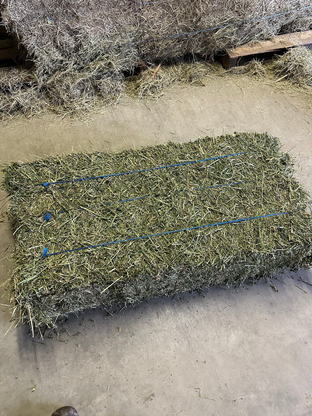 Krum Feed Store