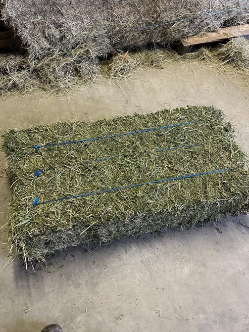 Our Story – Krum Feed Store