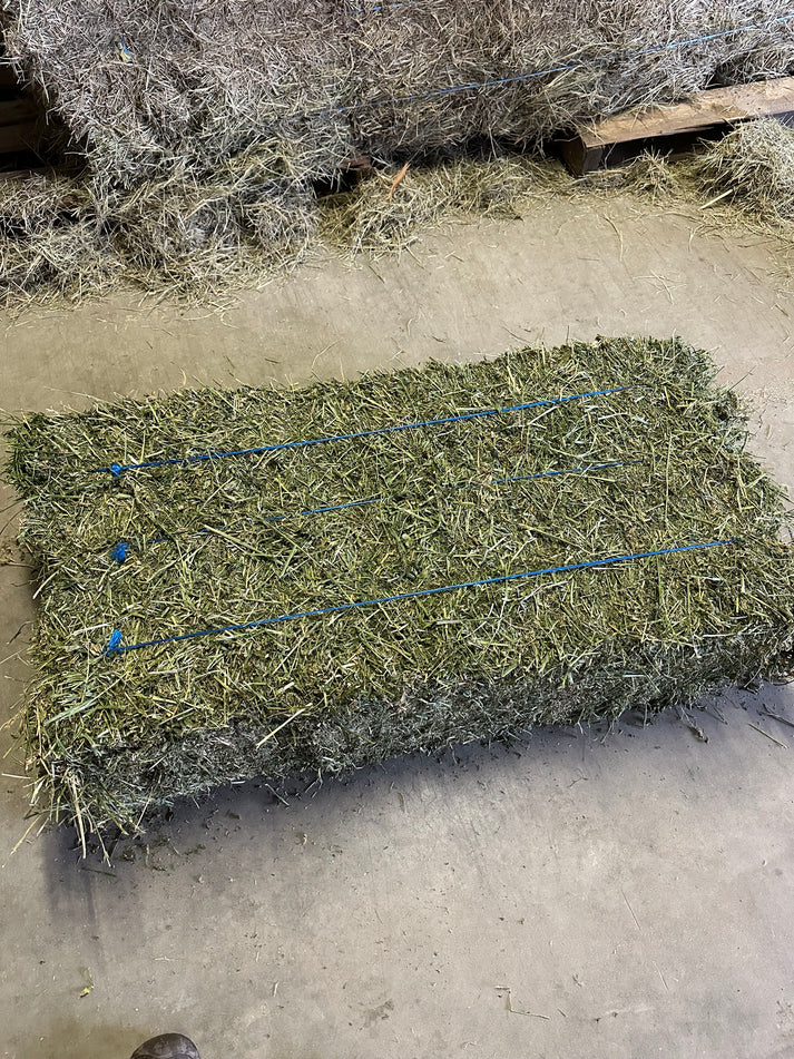 Our Story – Krum Feed Store